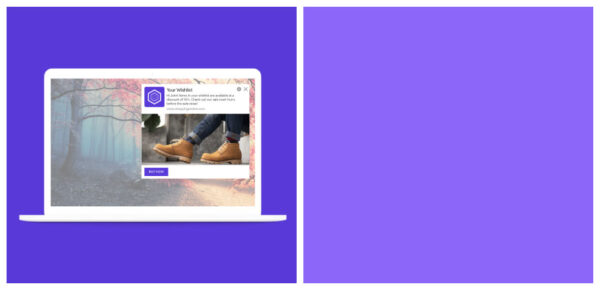 Web Push Notification Service for Shopify | NotifyVisitors